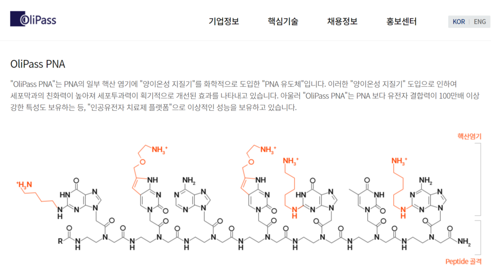 [낙폭과대주 핵심체크] 올리패스, 'OLP-1002' 호주 임상 결과 발표에 반등할까